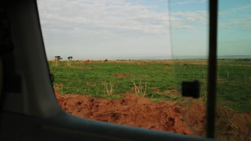 Africa, Safari, Uganda, Adventure by Yuval Aloni – Stock Footage | Artlist