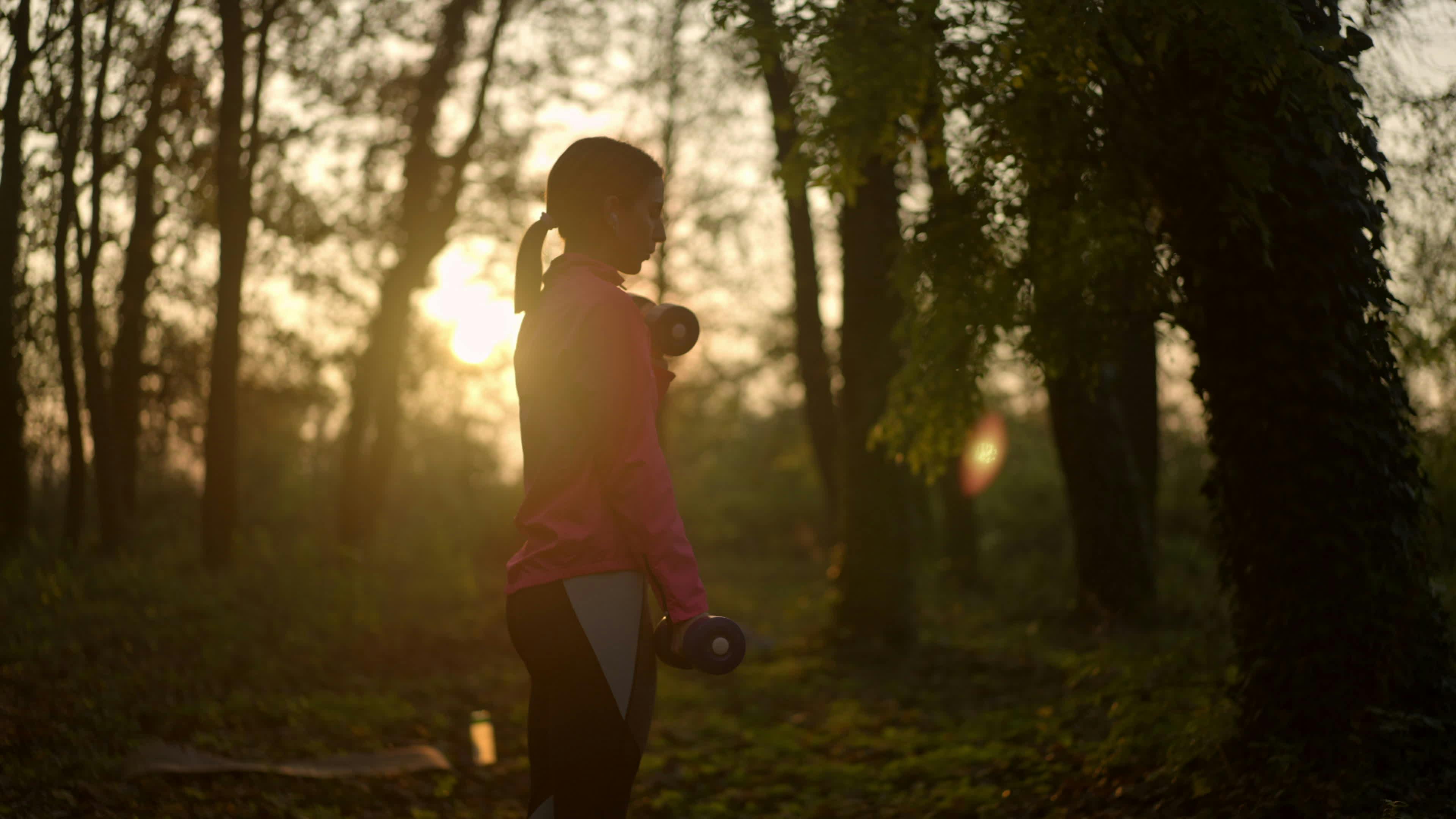 Discover forest-workout, a story-driven footage | Artlist