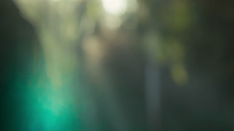 Unfocussed, Out Of Focus, Blurred, Abstract by Yojanan Montano – Stock ...