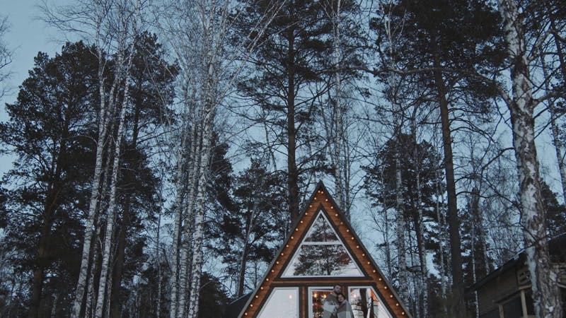 Partner, Vacation , Wooden Cabin , Forest Lodge by Pressmaster – Stock ...