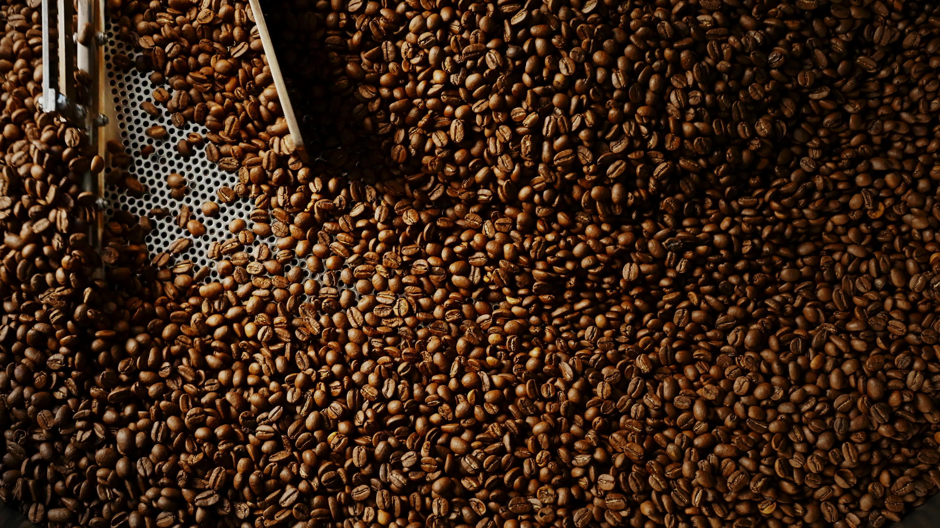 Discover coffee-story, a story-driven footage | Artlist