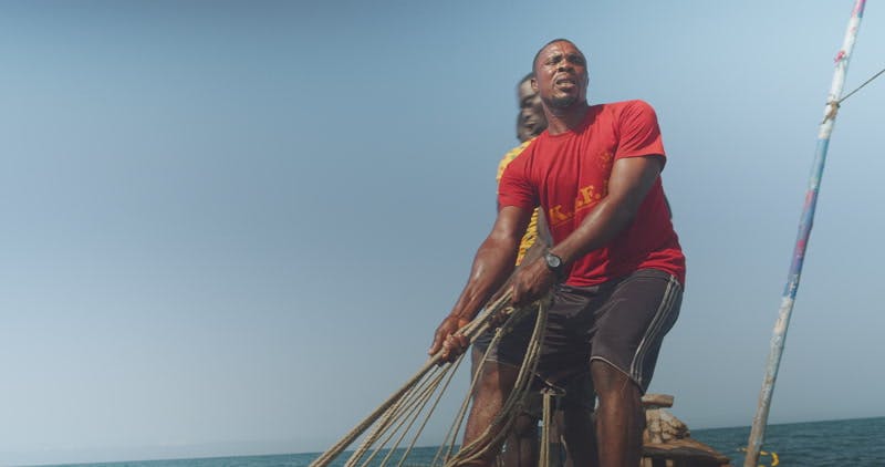 Pulling, Men, Boat, Sea by Will Niava – Stock Footage | Artlist
