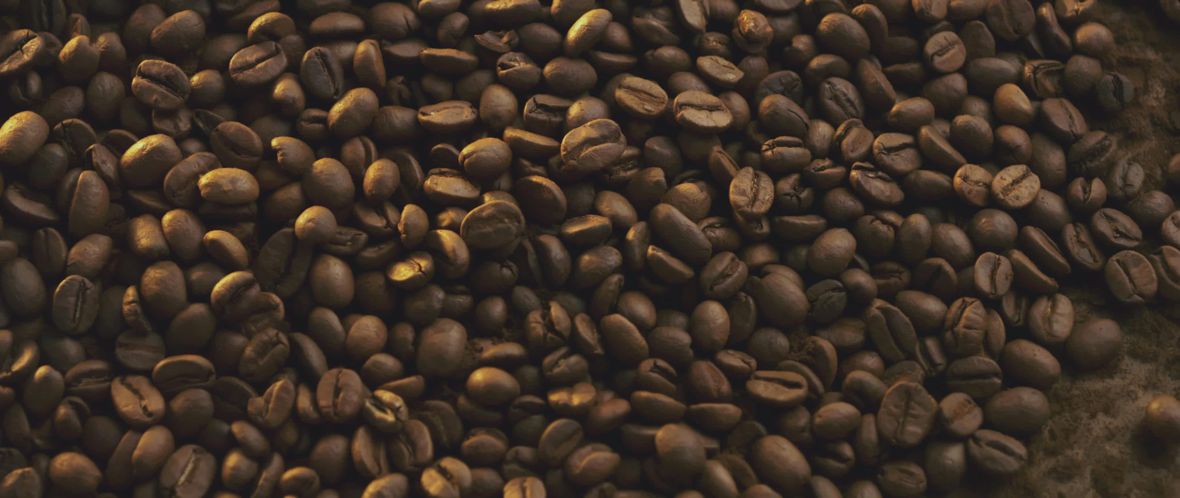 Discover coffee-beans, a story-driven footage | Artlist