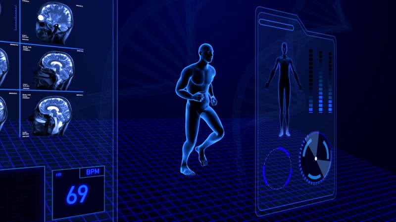 Infographics, Heartbeat, Brain, Stress Test by Animedias – Stock ...