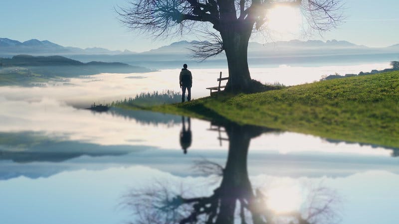 View, Walking, Calm, Silhouette by Animedias – Stock Footage | Artlist