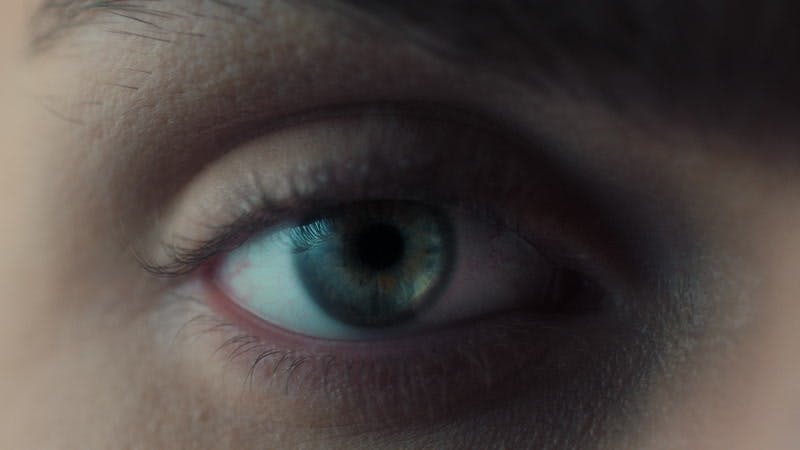 Looking, Man, Seeing, Eye by ANGIE SU – Stock Footage | Artlist