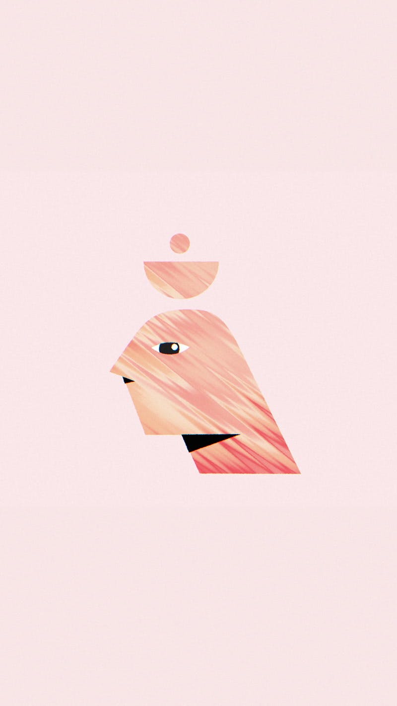 Shapes, Vertical, Character Animation, Motion Graphics by Alvaro Parra ...
