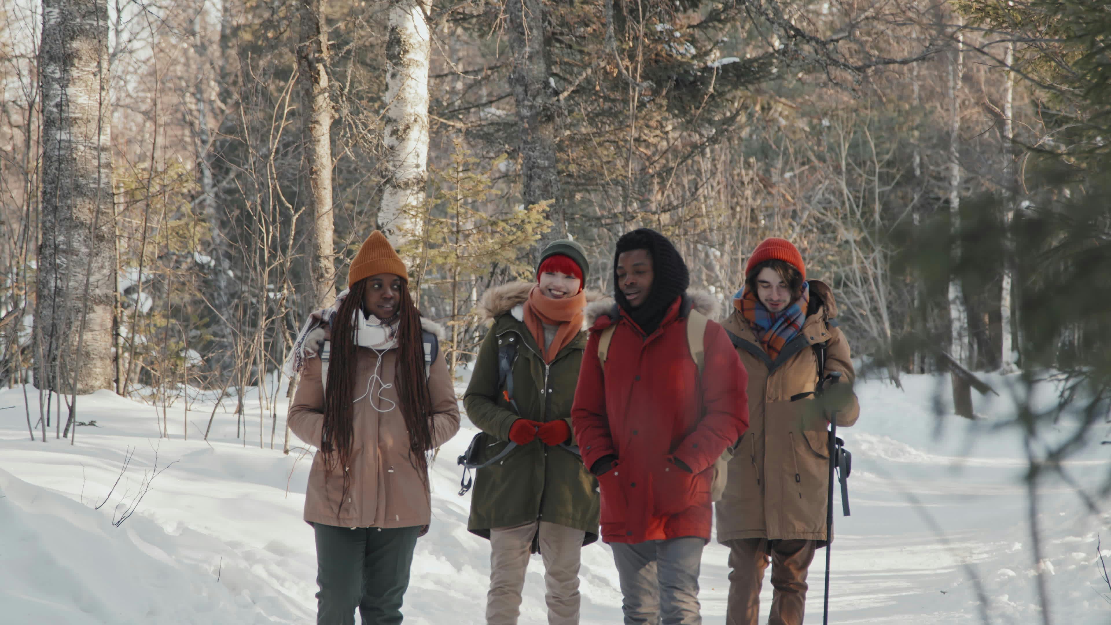 Discover winter-hike, a story-driven footage | Artlist