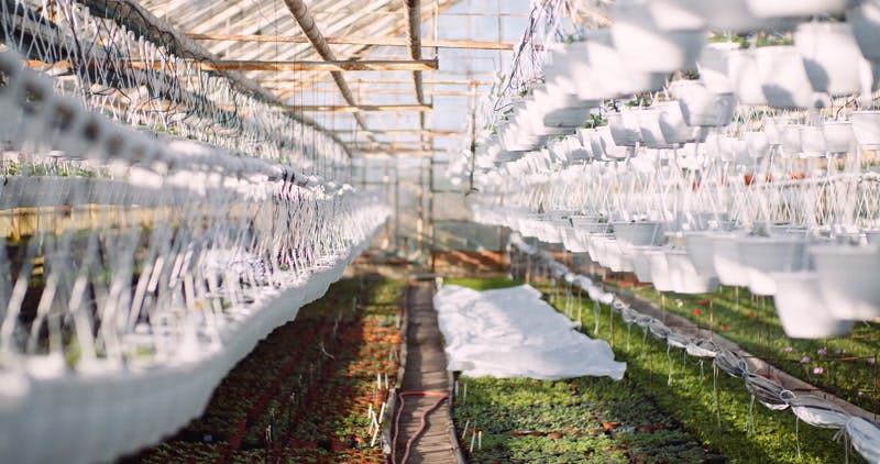 Agricultural, Horticulture, Greenhouse, Glasshouse by Film spirits ...