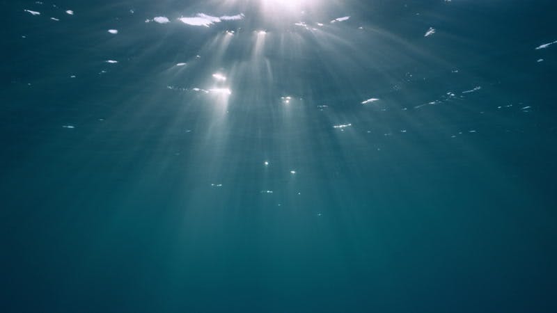 Underwater, Flare, Water, Sea by Alfredo Barroso – Stock Footage | Artlist