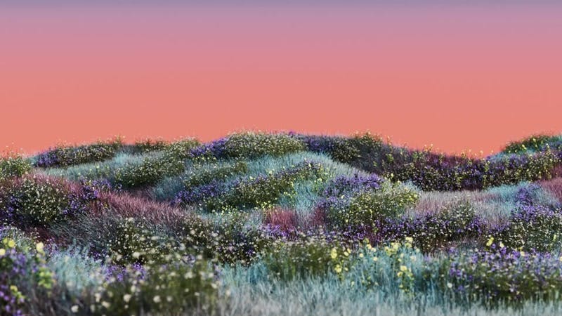 Fantasy, Dreamlike, Grass, Animated by Generative Art Studio inc ...