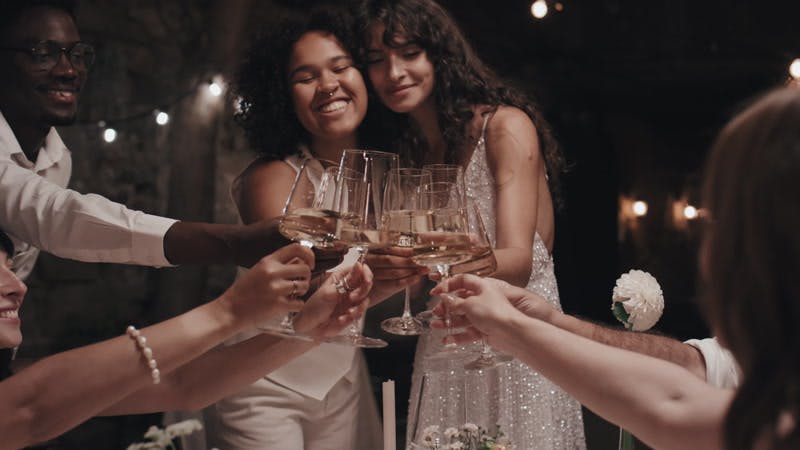 Guests, Wine, Cheers, Brides by Pressmaster – Stock Footage | Artlist