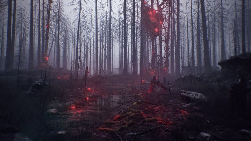 Apocalypse, Woods, Fire, Forest by Savagerus – Stock Footage | Artlist