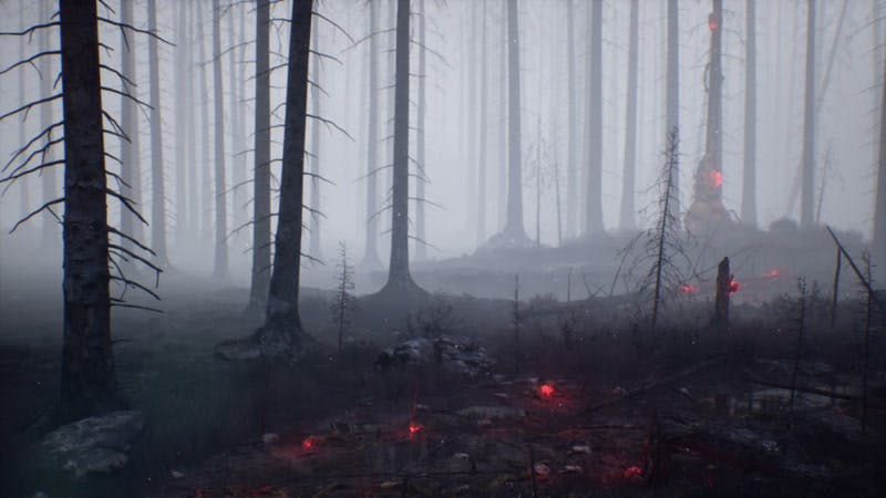 Forest, 3d, Cgi, Apocalypse by Savagerus – Stock Footage | Artlist