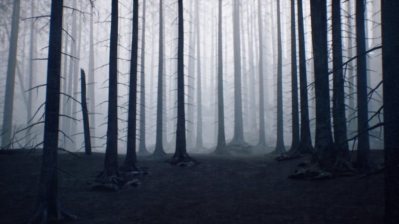 Forest, 3d, Cgi, Woods by Savagerus – Stock Footage | Artlist