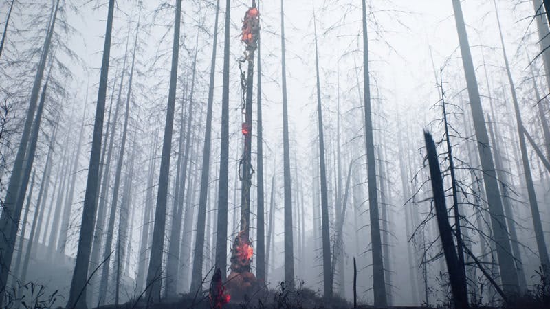 Apocalypse, Woods, Fire, Forest by Savagerus – Stock Footage | Artlist