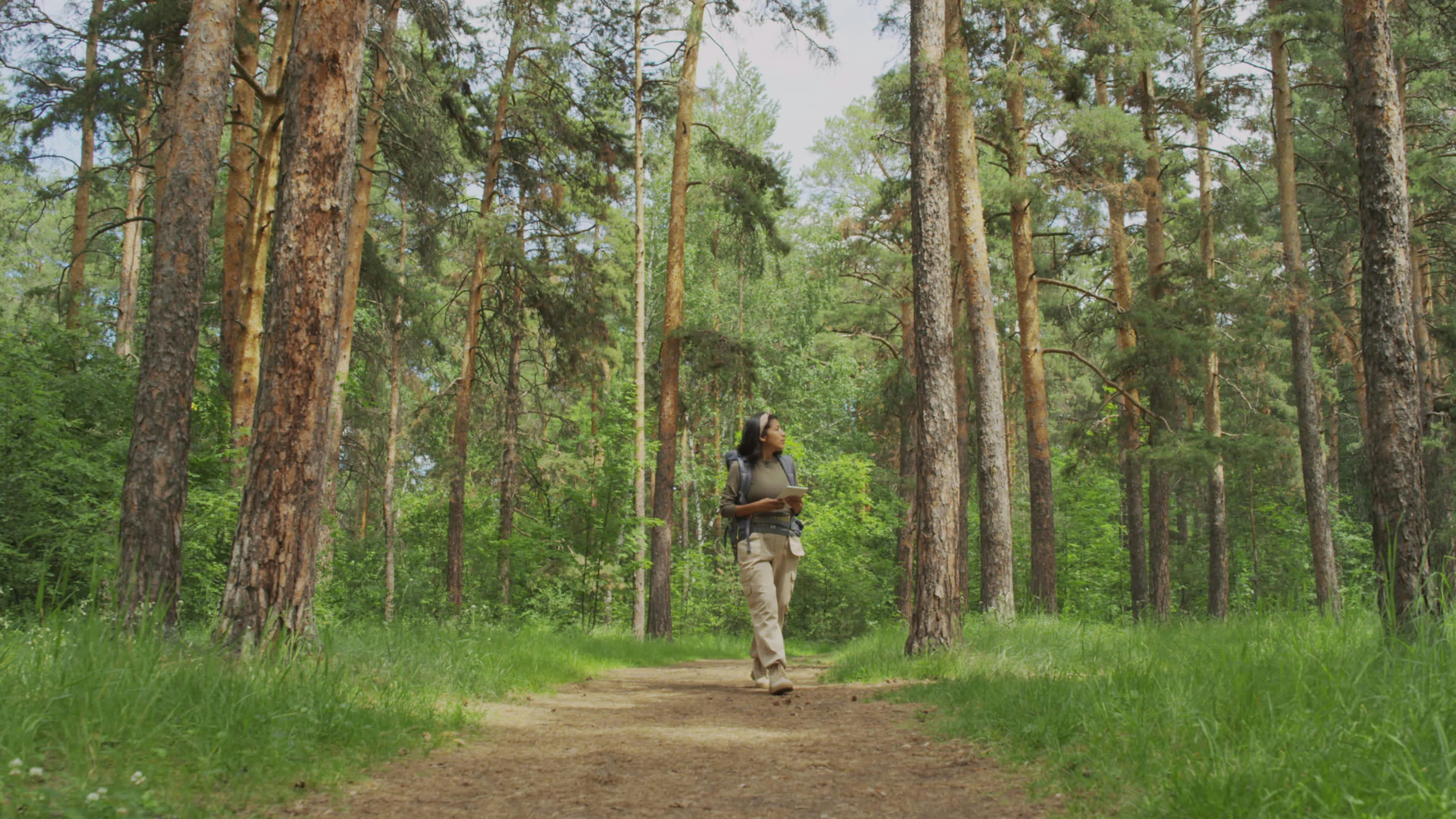 Discover forest-inspection, a story-driven footage | Artlist