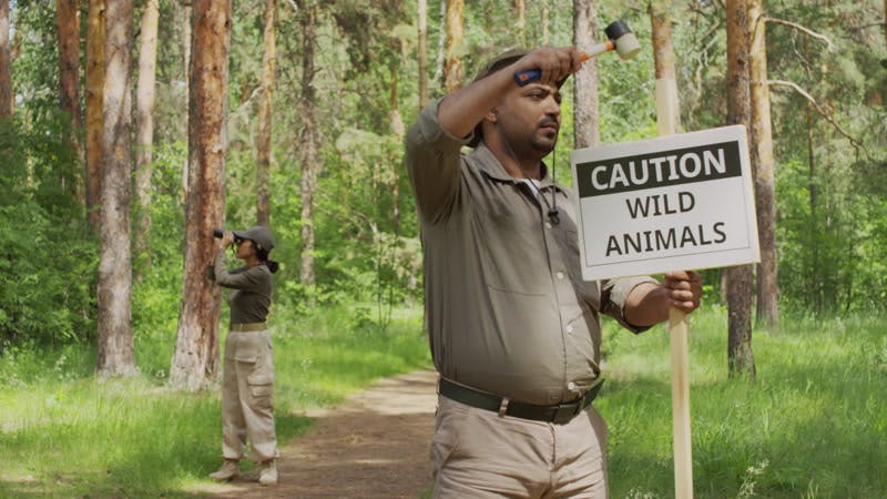 Warning, Caution Sign, Wild Animals, Forest Ranger by Pressmaster ...