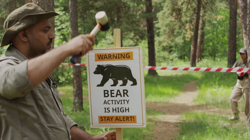 Wild Animals, Forest Ranger, Bear, Caution Sign by Pressmaster – Stock ...