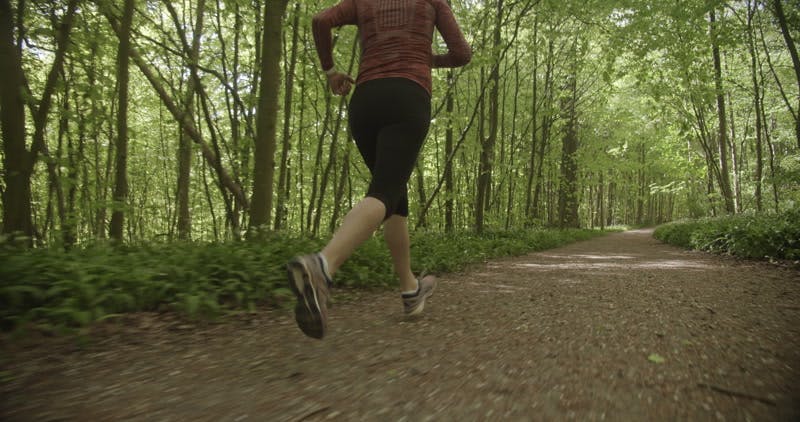 Forest, Exercise, Trail Runner, Trail Running by Kristian Ozer Kettner ...