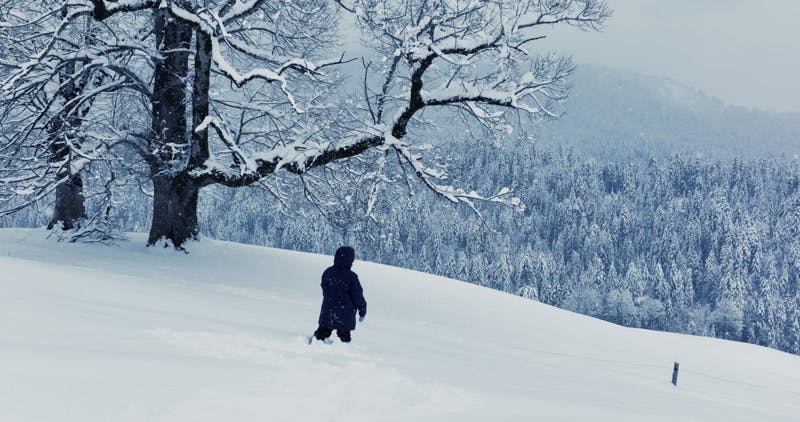 Explore, Frozen, Ice, Cold by Animedias – Stock Footage | Artlist