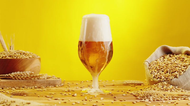 Beer, Beverage, Liquid, Wheat by Eleven Studio – Stock Footage | Artlist