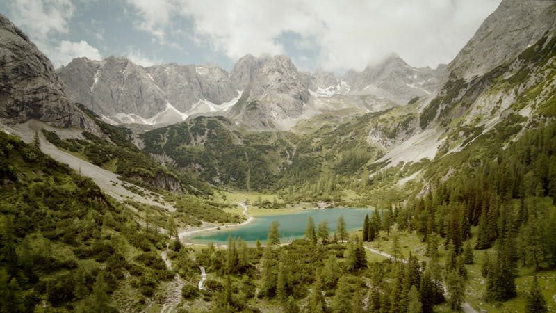 Alpine, Forest, Picturesque, Trees by 5Kdigitalfilm – Stock Footage ...
