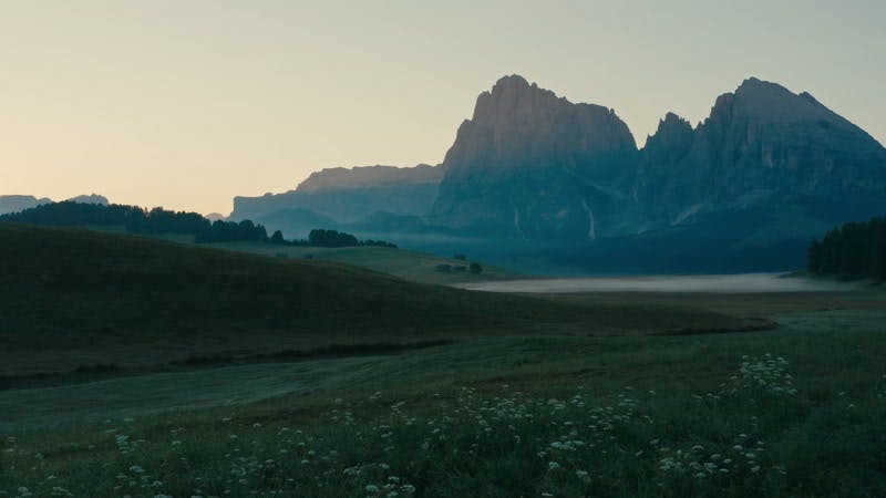 Tree, Field, Alps, Mountain Range by Jonathan Stütz – Stock Footage ...