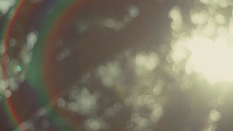 Lens Flare, Sunlight, Sun, Low Angle by Yuval Aloni – Stock Footage ...