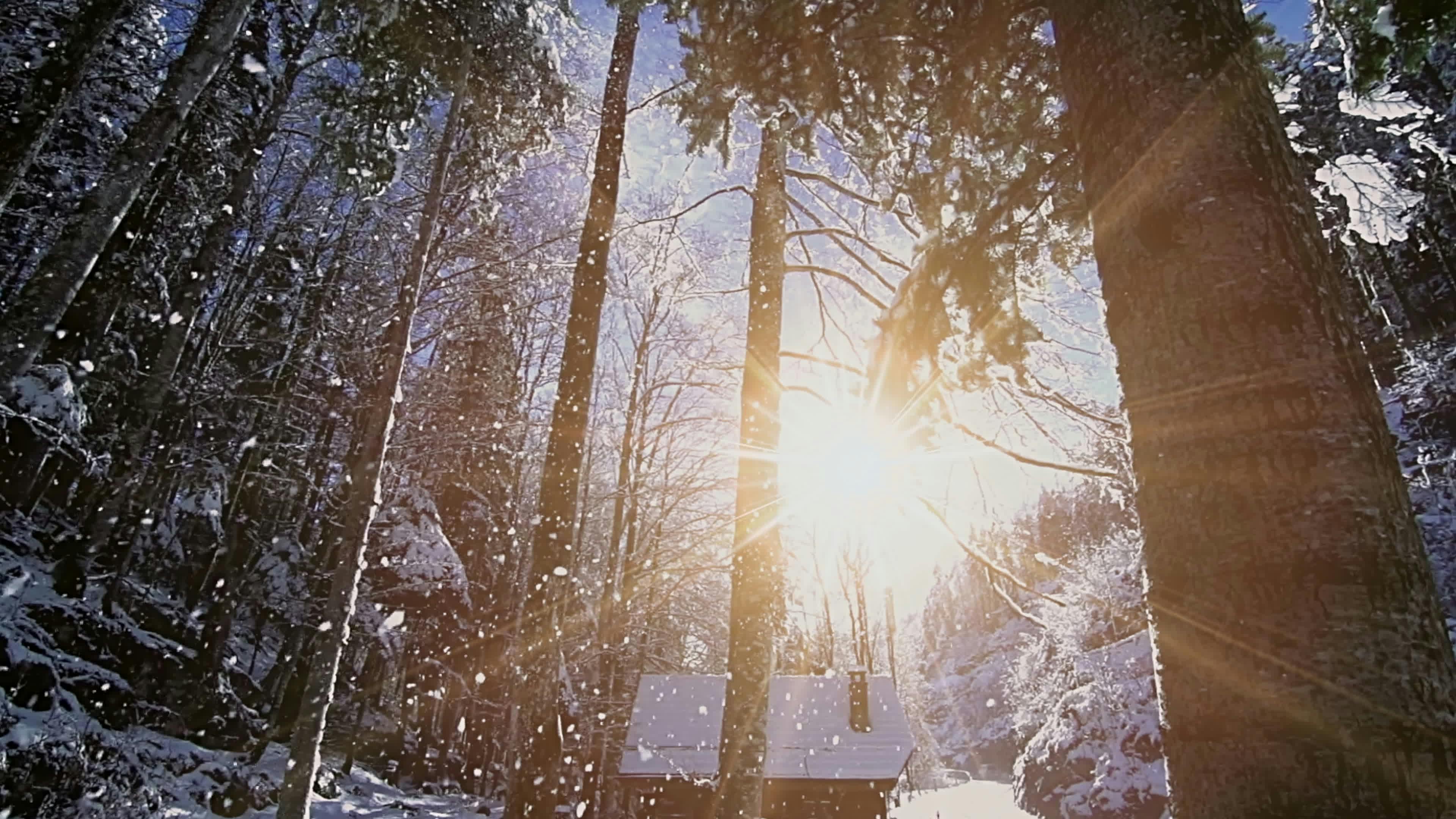 Discover snowfall, a story-driven footage | Artlist