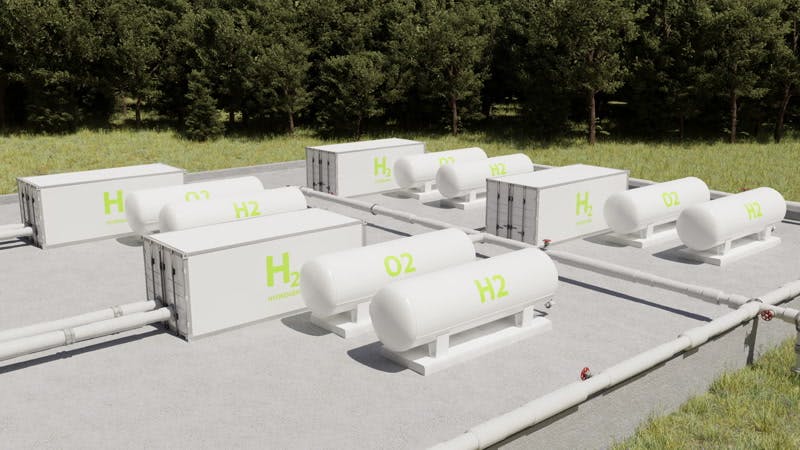 Trees, Capsule, Cgi, 3d by Daniel Megias del Pozo – Stock Footage | Artlist