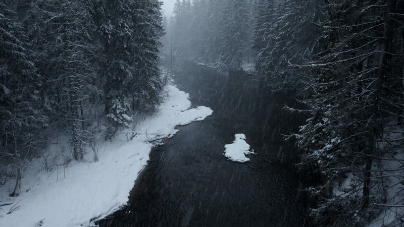 Falling, Snow, Forest, Drone by Reinis Kaspars – Stock Footage | Artlist