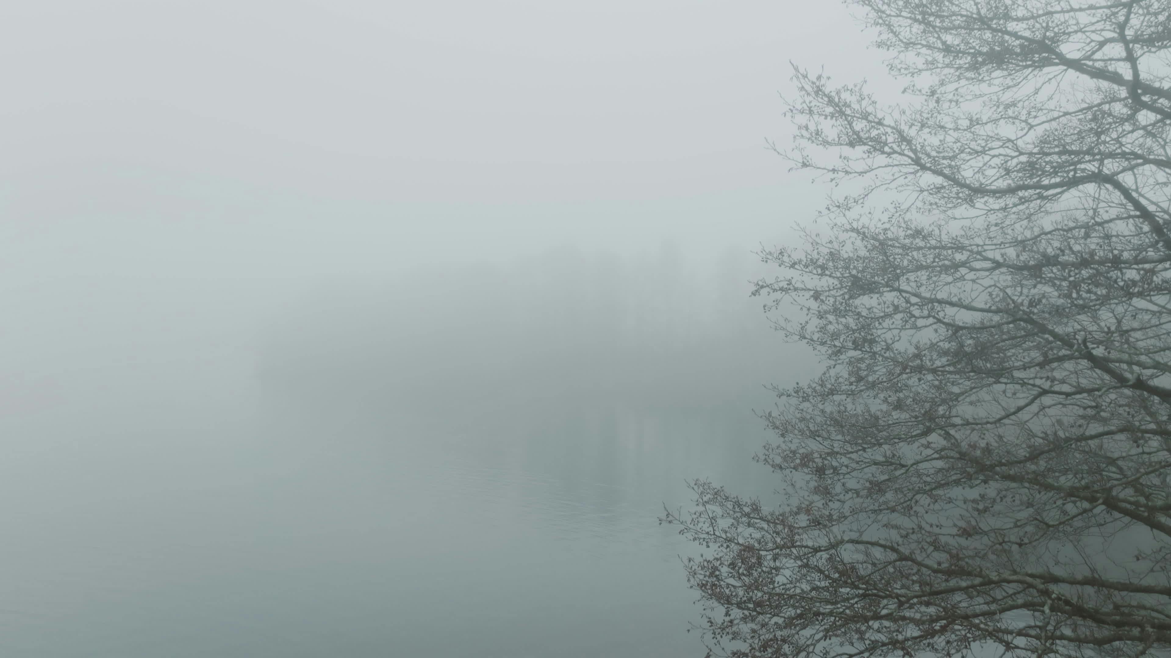 Discover fog-over-the-lake, a story-driven footage | Artlist