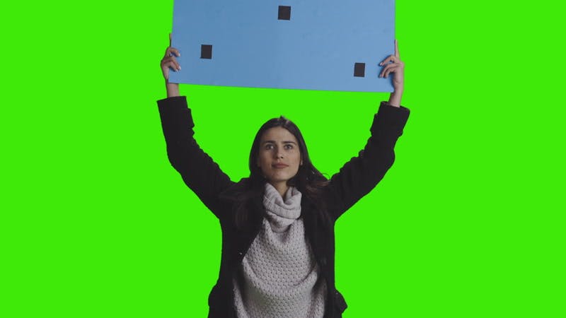 Sign, Green Screen, Chroma Key, Protest by Videophilia – Stock Footage ...