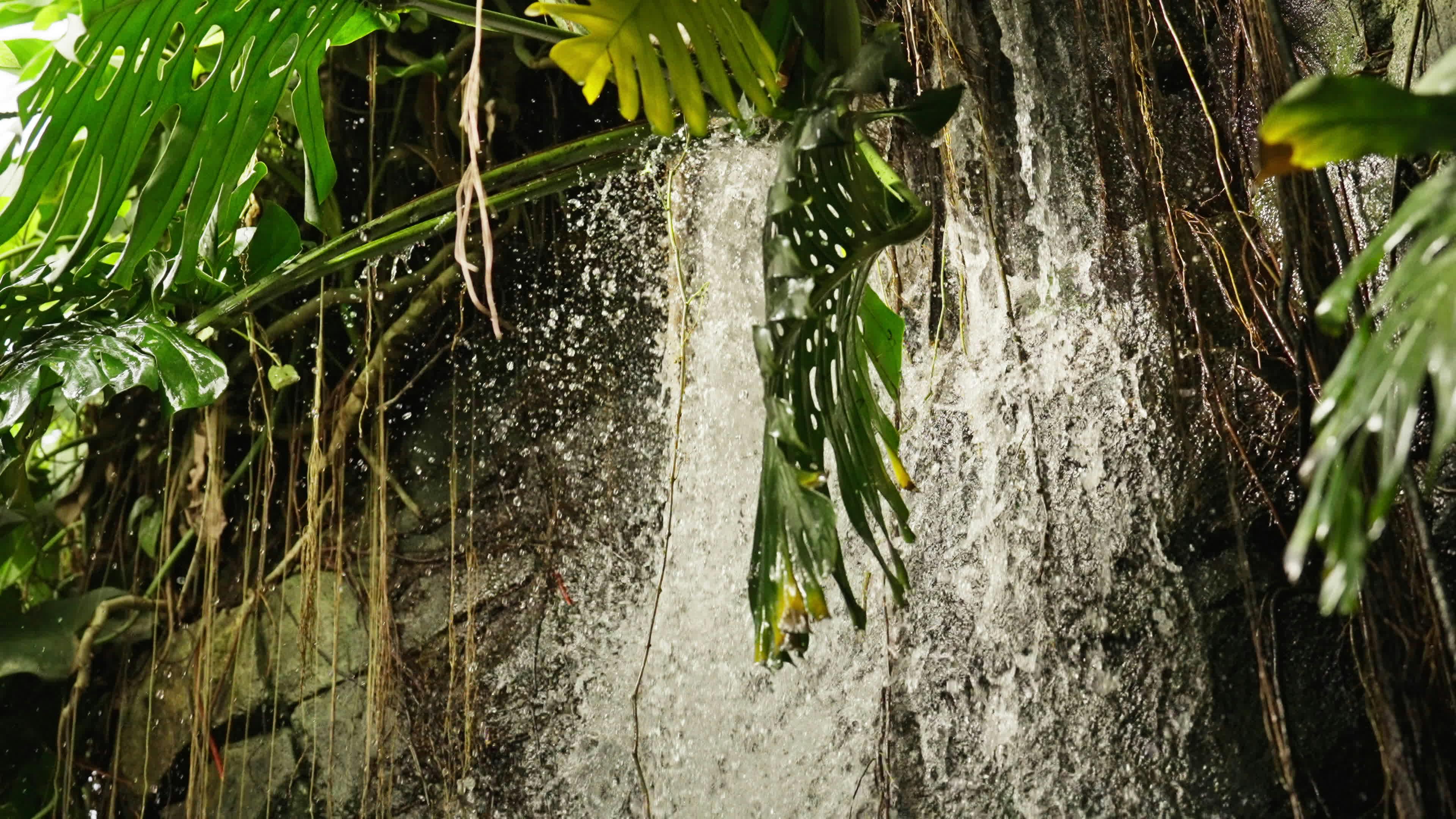 Discover tropical-waterfall, a story-driven footage