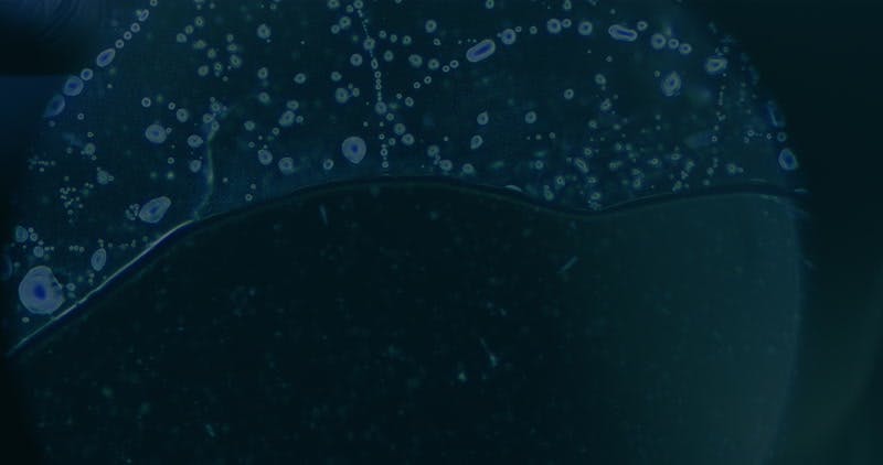 Testing, Experiments, Laboratory, Germs by Film spirits – Stock Footage ...