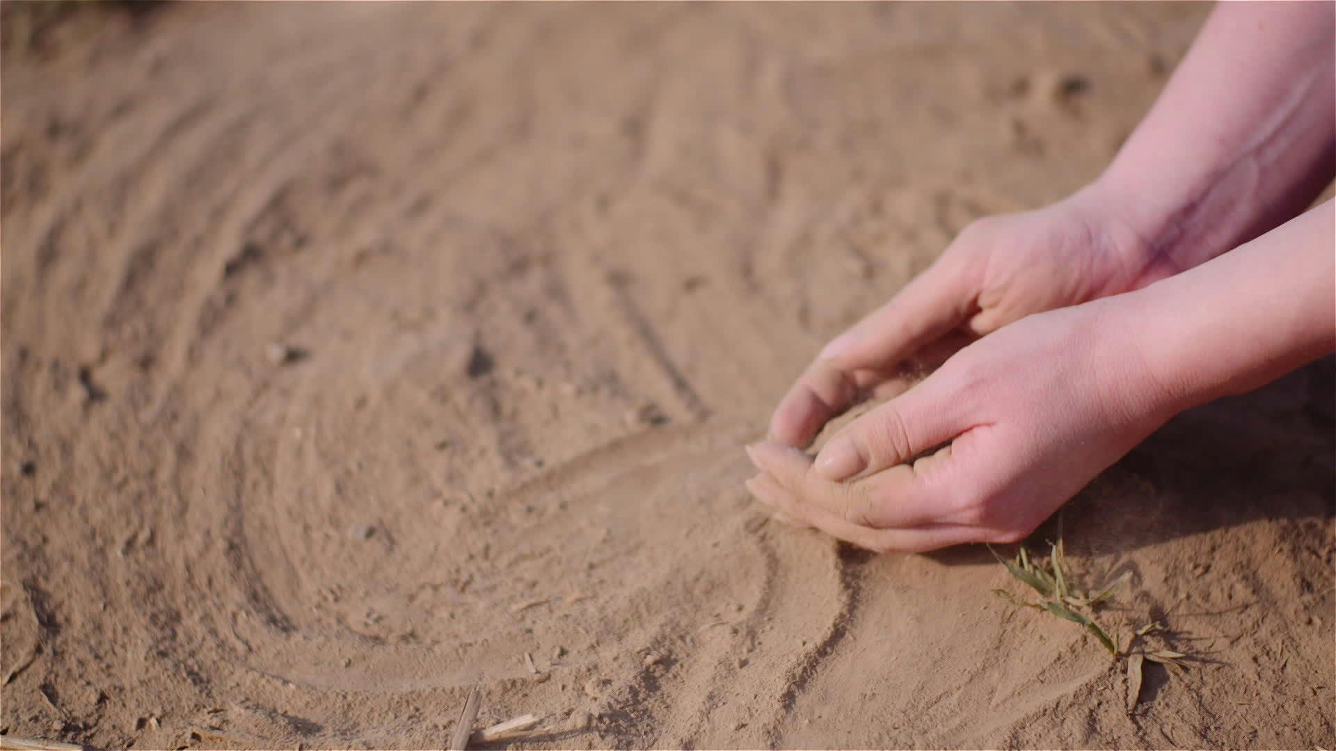 Discover Agriculture Farmer A Story Driven Footage Artlist