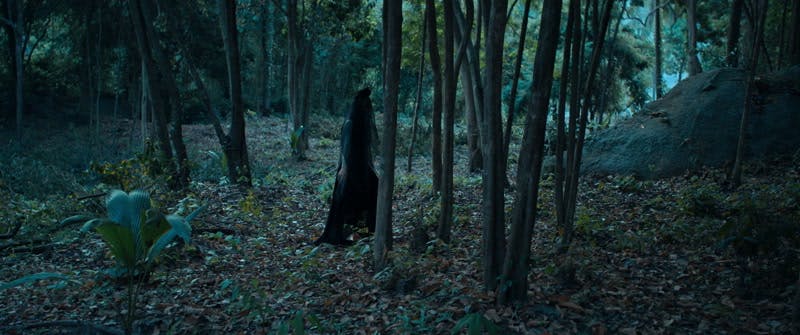 Anciant, Forest, Ritual, Worship by Roma Black – Stock Footage | Artlist