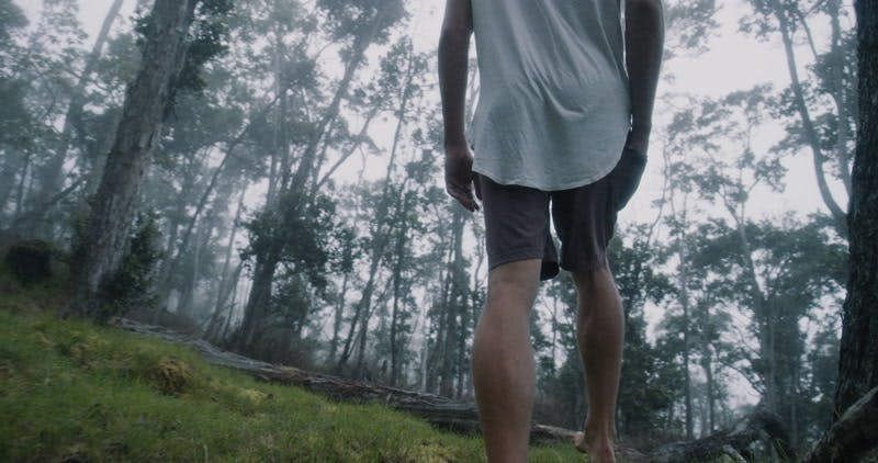 Man, Person, Walking, Wandering by Jakob Owens – Stock Footage | Artlist