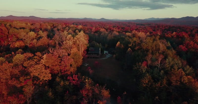 Fall, Treetop, Autumn, Forest by Zack Murray – Stock Footage | Artlist