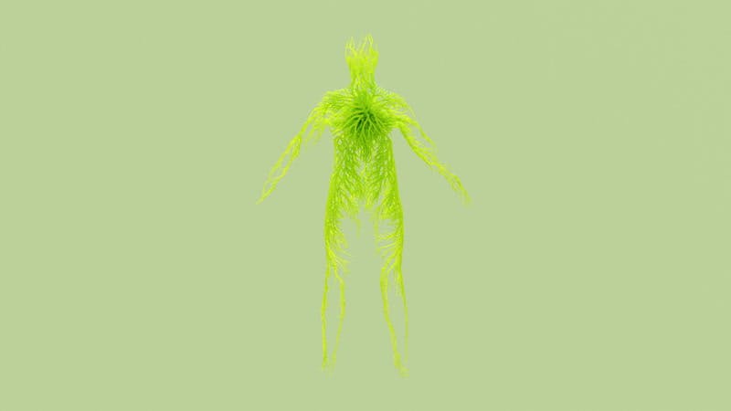 Animated, Formation, 2d, Roots by M. Yasin Esin – Stock Footage | Artlist