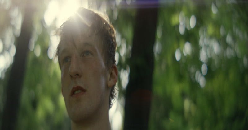 Park, Trees, Standing, Looking by Hans Peter Schepp – Stock Footage ...