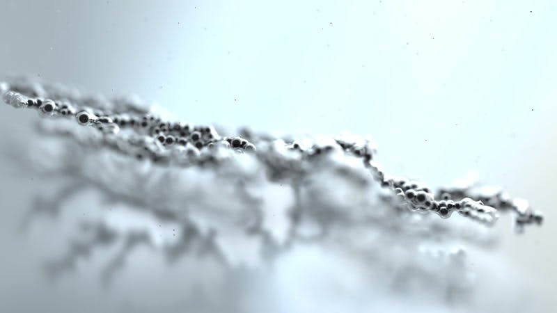 Duplication, Gene Duplication, Science, Biology by Pylik – Stock ...