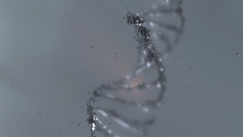 Science, Duplication, Cell Division, Biology by Pylik – Stock Footage ...