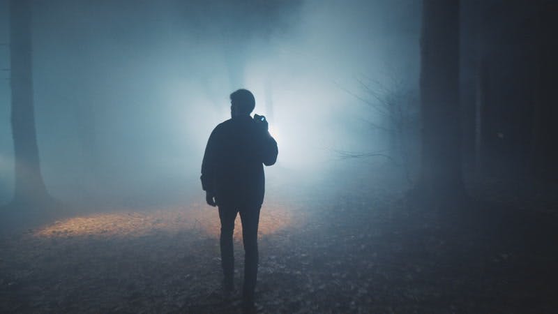 Crime Scene, Detective, Murder, Forest by Nazarii Ortynskyi – Stock ...