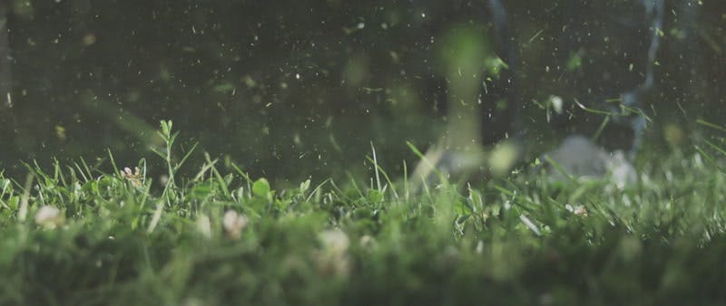 Particles, Phantom, Cutting, Grass by Videophilia – Stock Footage | Artlist