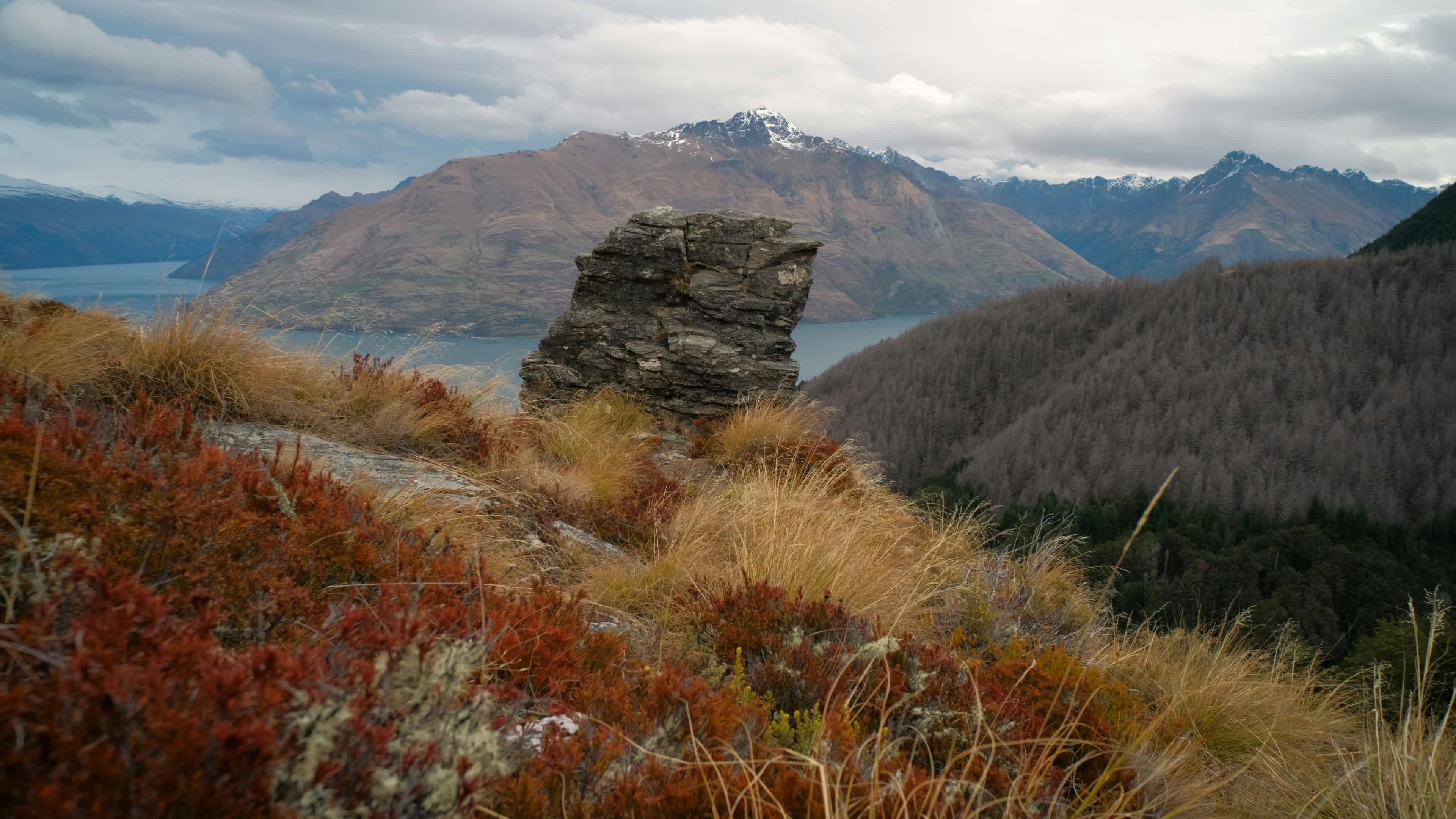 Discover exploring-new-zealand, a story-driven footage | Artlist