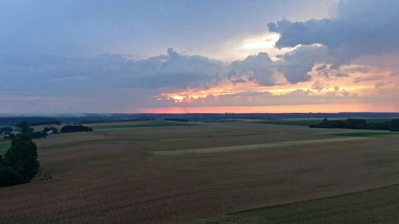 Horizon, Drone, Farm, Trees by Nikodem Bartnik – Stock Footage | Artlist