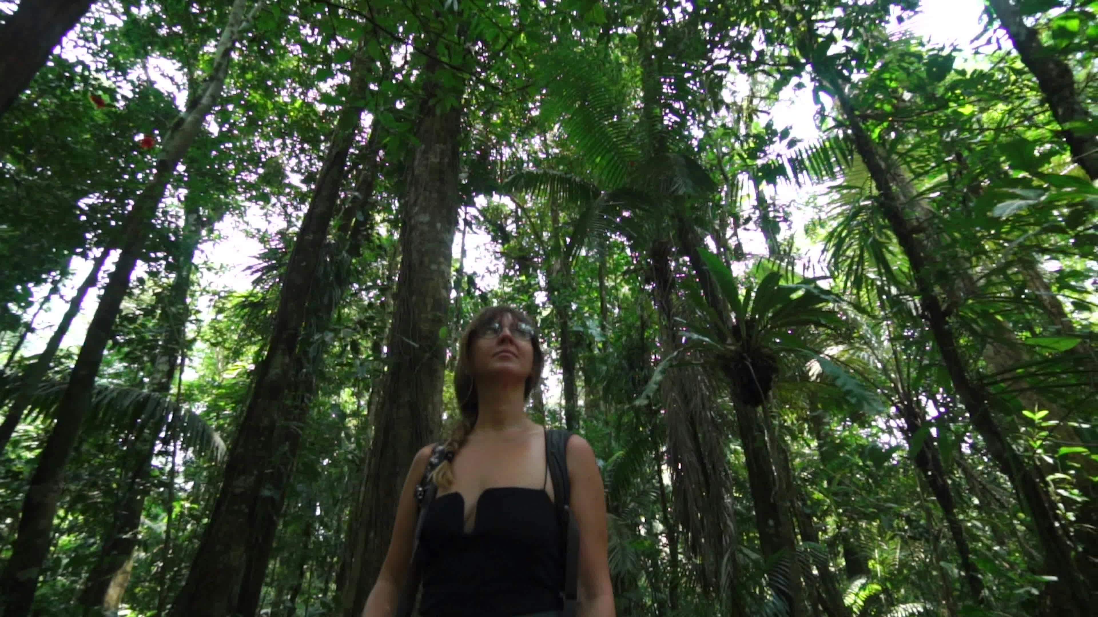 Discover woman-exploring-amazon-rainforest-fpv, a story-driven footage ...