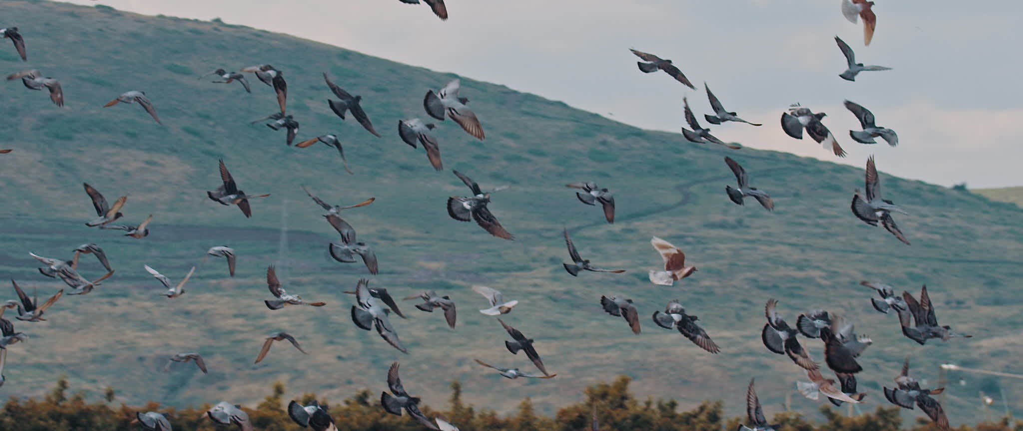 Discover taking-slow-flight, a story-driven footage | Artlist